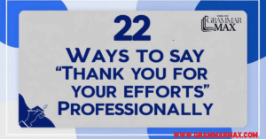 22 Ways to Say “Thank You for Your Efforts” Professionally - Grammar Max